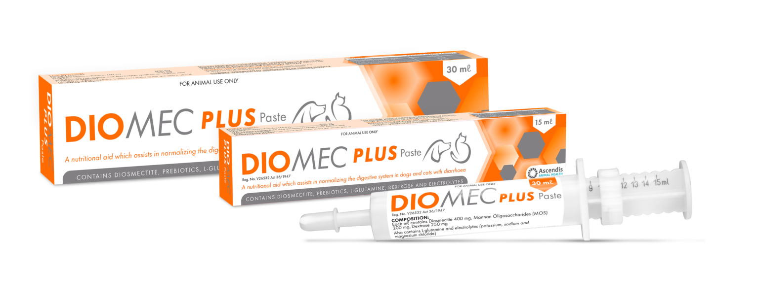 Diomec Plus Dogs & Cats 15ml - Pet 2 Farm Depot
