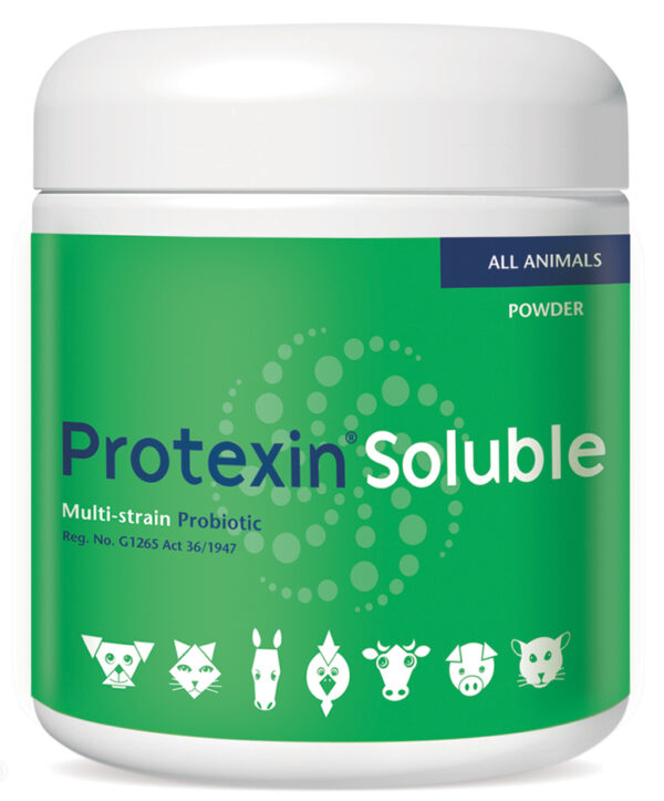 Protexin Soluble 250g - Pet 2 Farm Depot